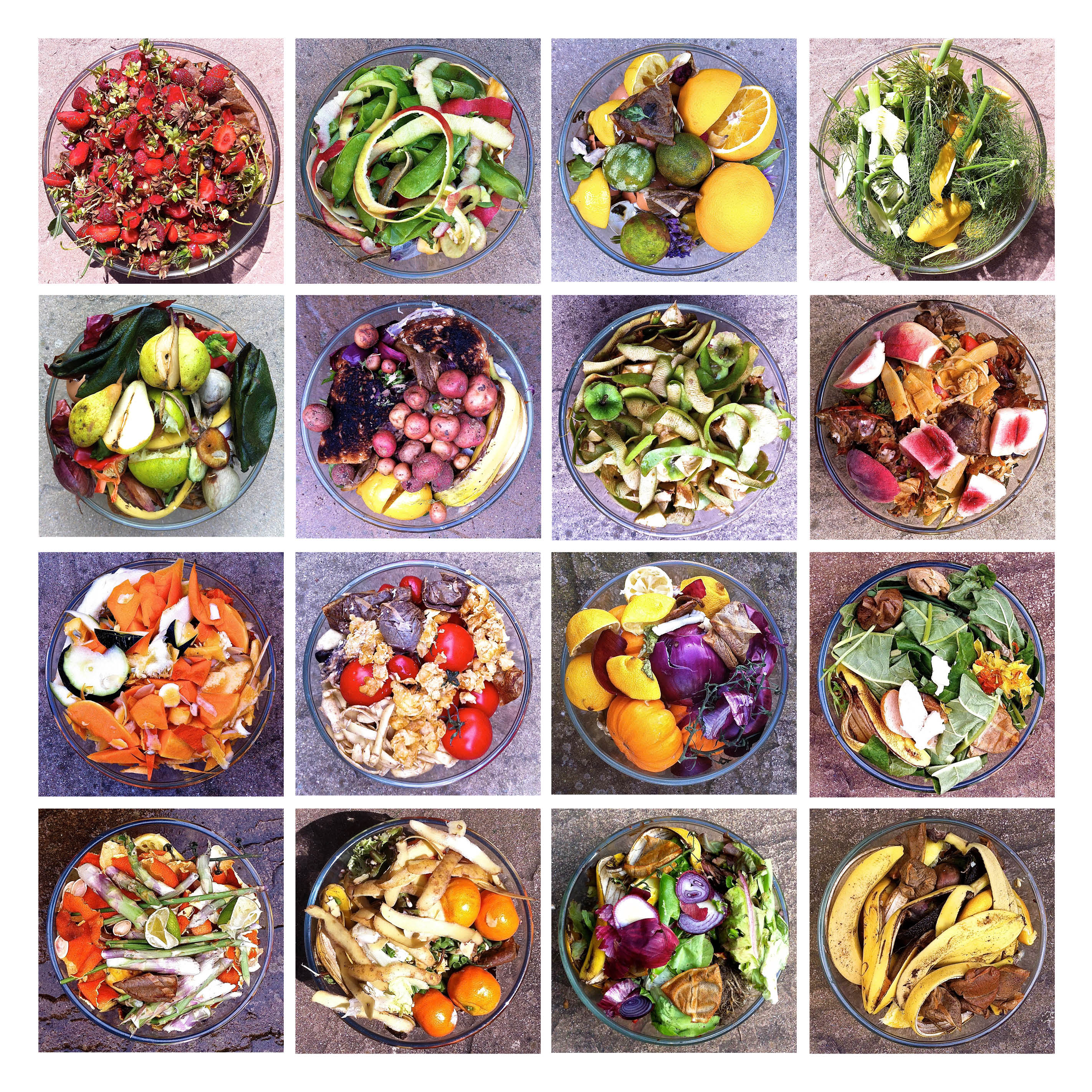 food waste – pippa ward